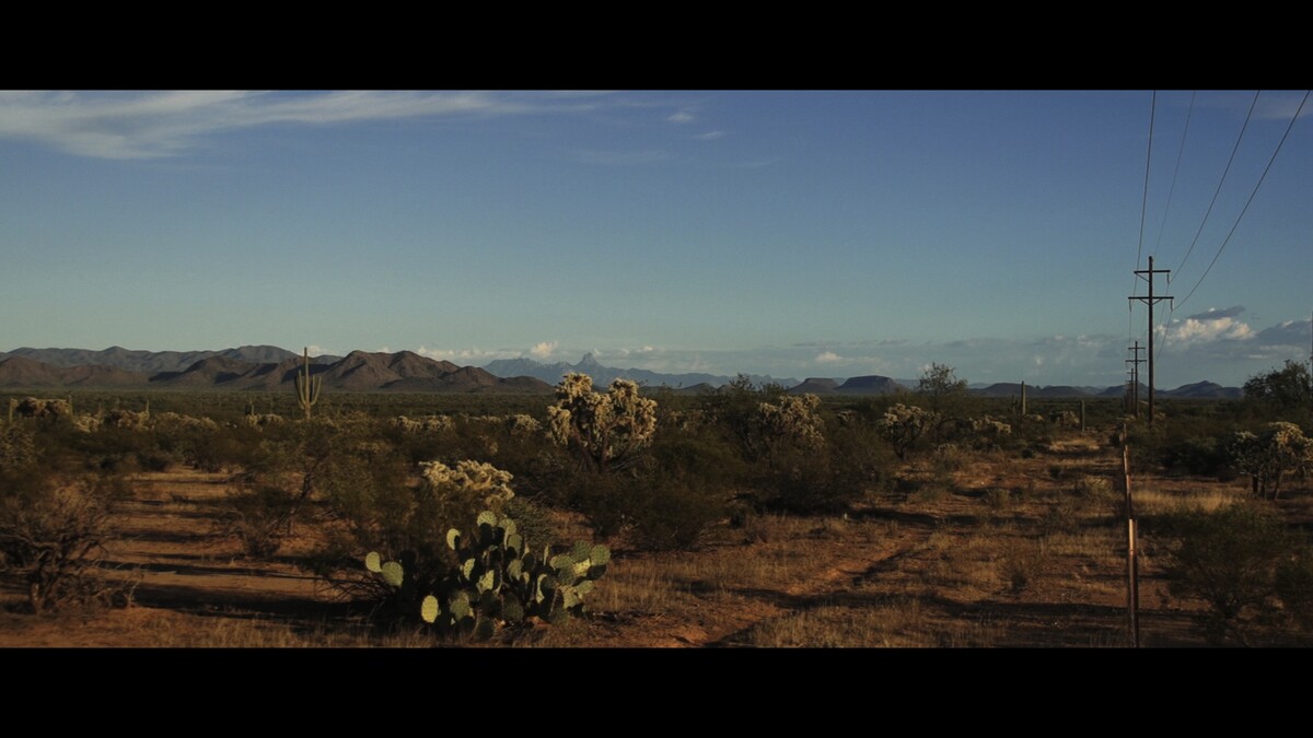 Inside the labyrinth - WBImages